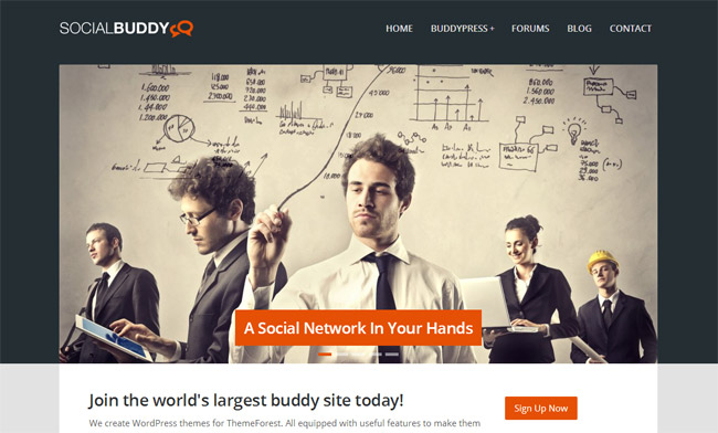 20+ Cool BuddyPress Themes for 2014